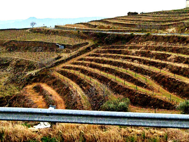 O que fazer em Murça Cima Corgo Douro Vinhateiro Alto Douro Portugal ...