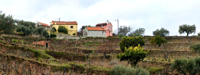 Gastronomia e Cozinha tradicional de Murça Cima Corgo Douro Vinhateiro ...