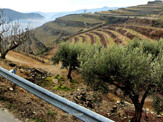 Adegas e Quintas de Murça Vinhos de Murça Cima Corgo Douro Vinhateiro ...