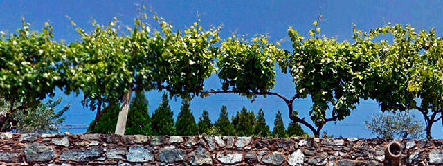 Freguesias de Valpaços Distrito de Vila Real Alto Douro Trás-os-Montes ...